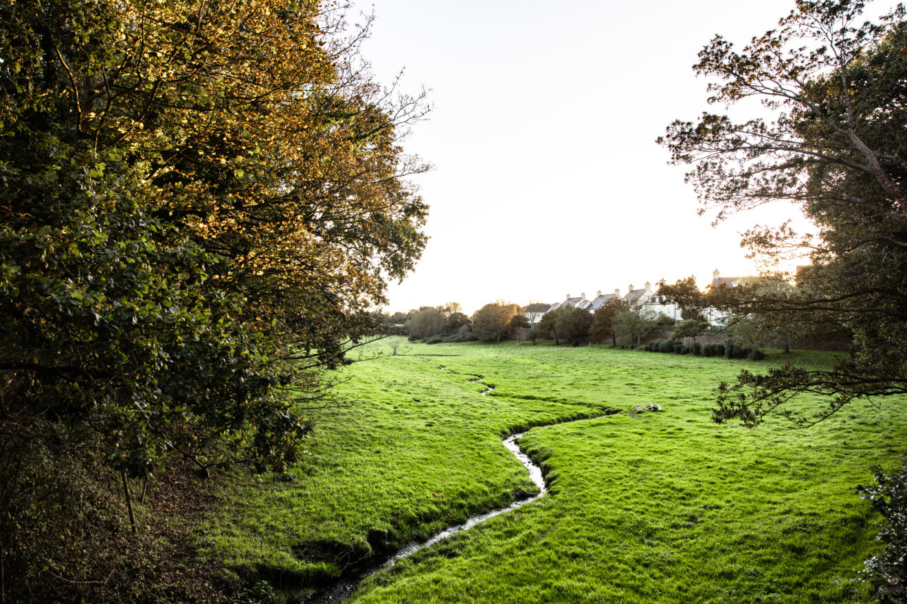 Parish of St Saviour
